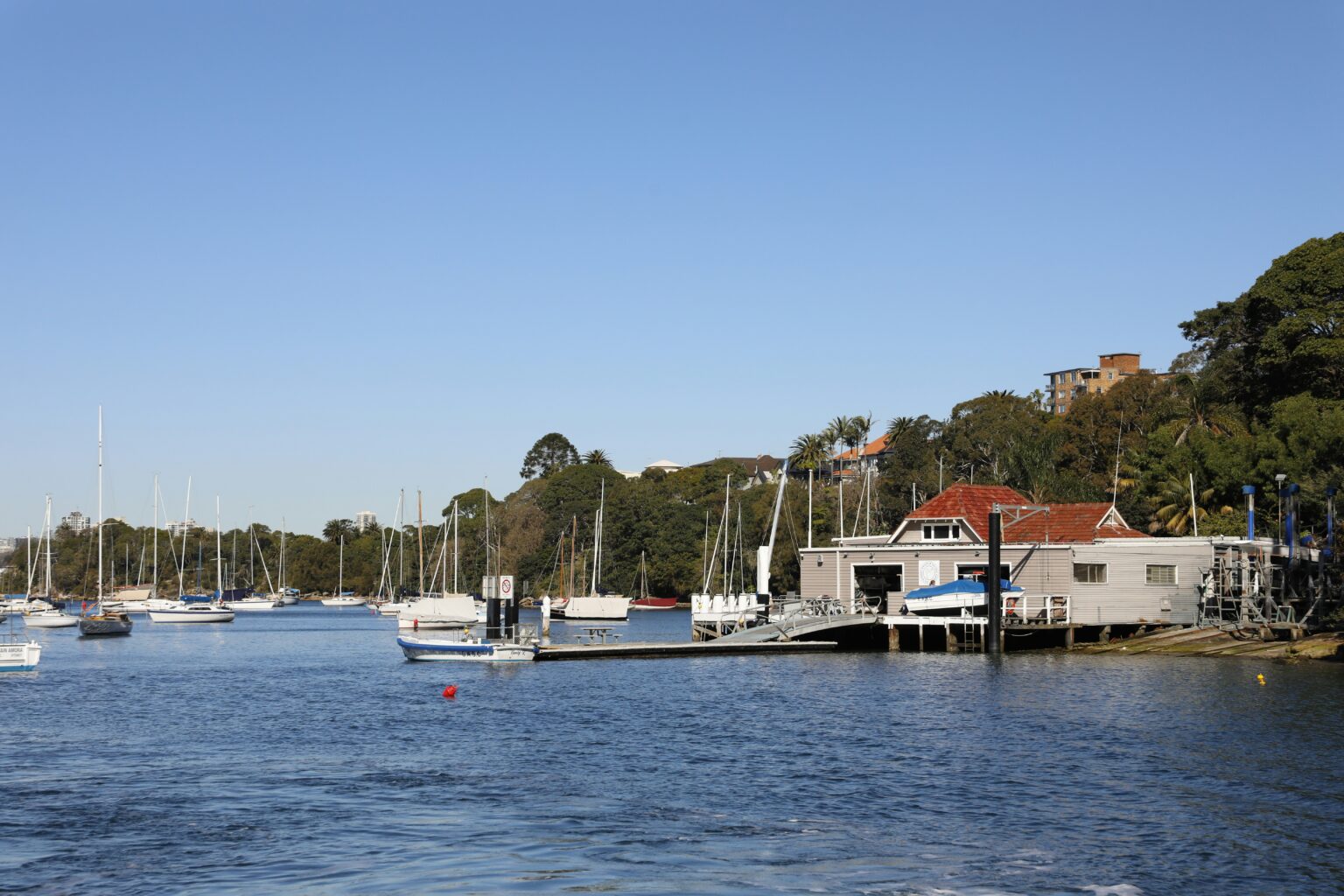 Top Things to Do in Rose Bay, Sydney - Big Hostel